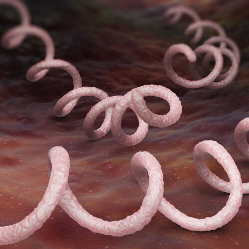 Chembio Archives - Chembio Diagnostics, Inc.